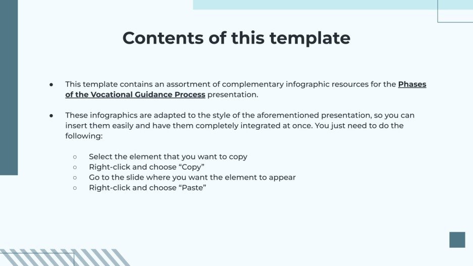 Phases of the Vocational Guidance Process Infographics