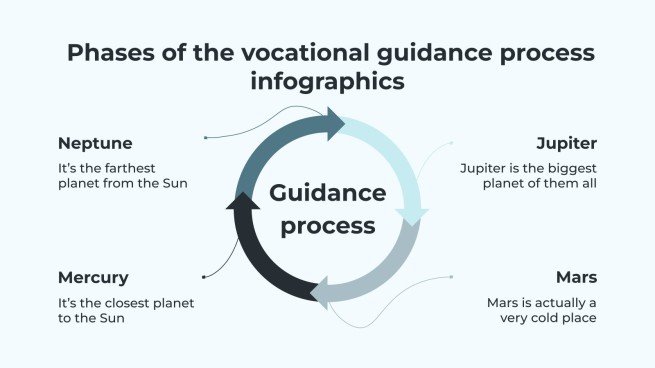 Phases of the Vocational Guidance Process Infographics