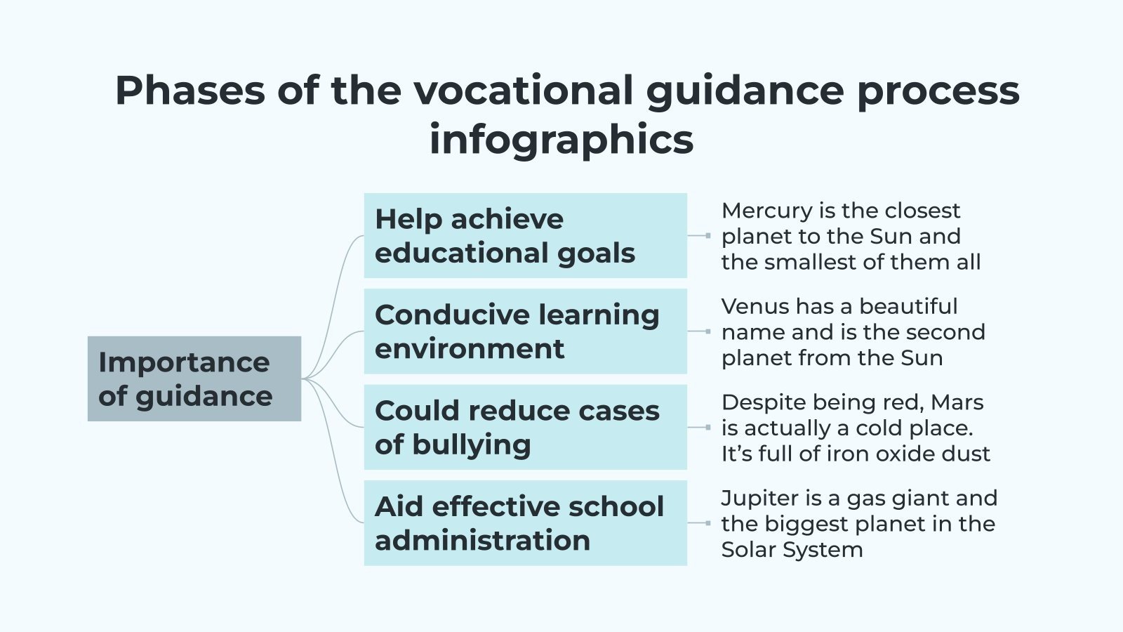 Phases of the Vocational Guidance Process Infographics