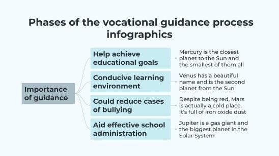 Phases of the Vocational Guidance Process Infographics