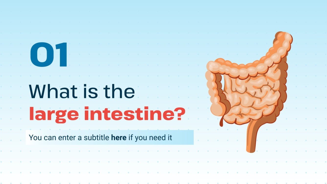 Science for Elementary: Large Intestine | Google Slides