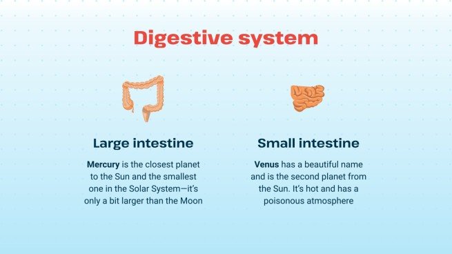 Science for Elementary: Large Intestine | Google Slides