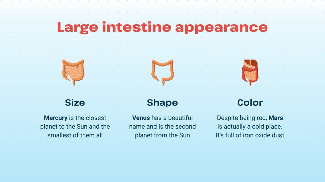 Science for Elementary: Large Intestine | Google Slides