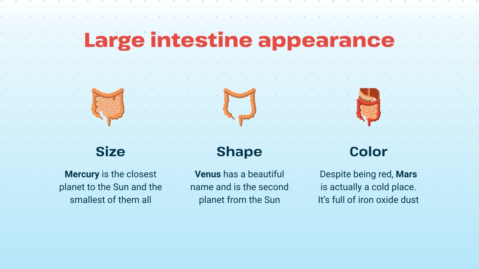 Science for Elementary: Large Intestine | Google Slides