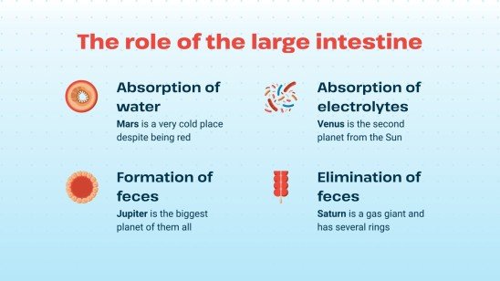 Science for Elementary: Large Intestine | Google Slides