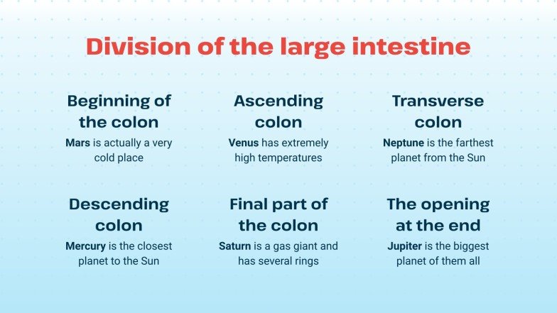 Science for Elementary: Large Intestine | Google Slides