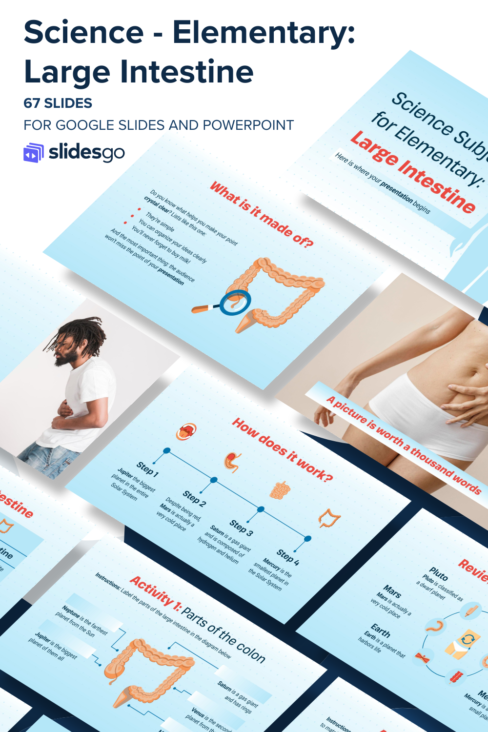 Science for Elementary: Large Intestine | Google Slides