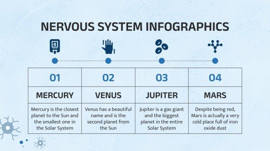Learn More About the Nervous System Infographics