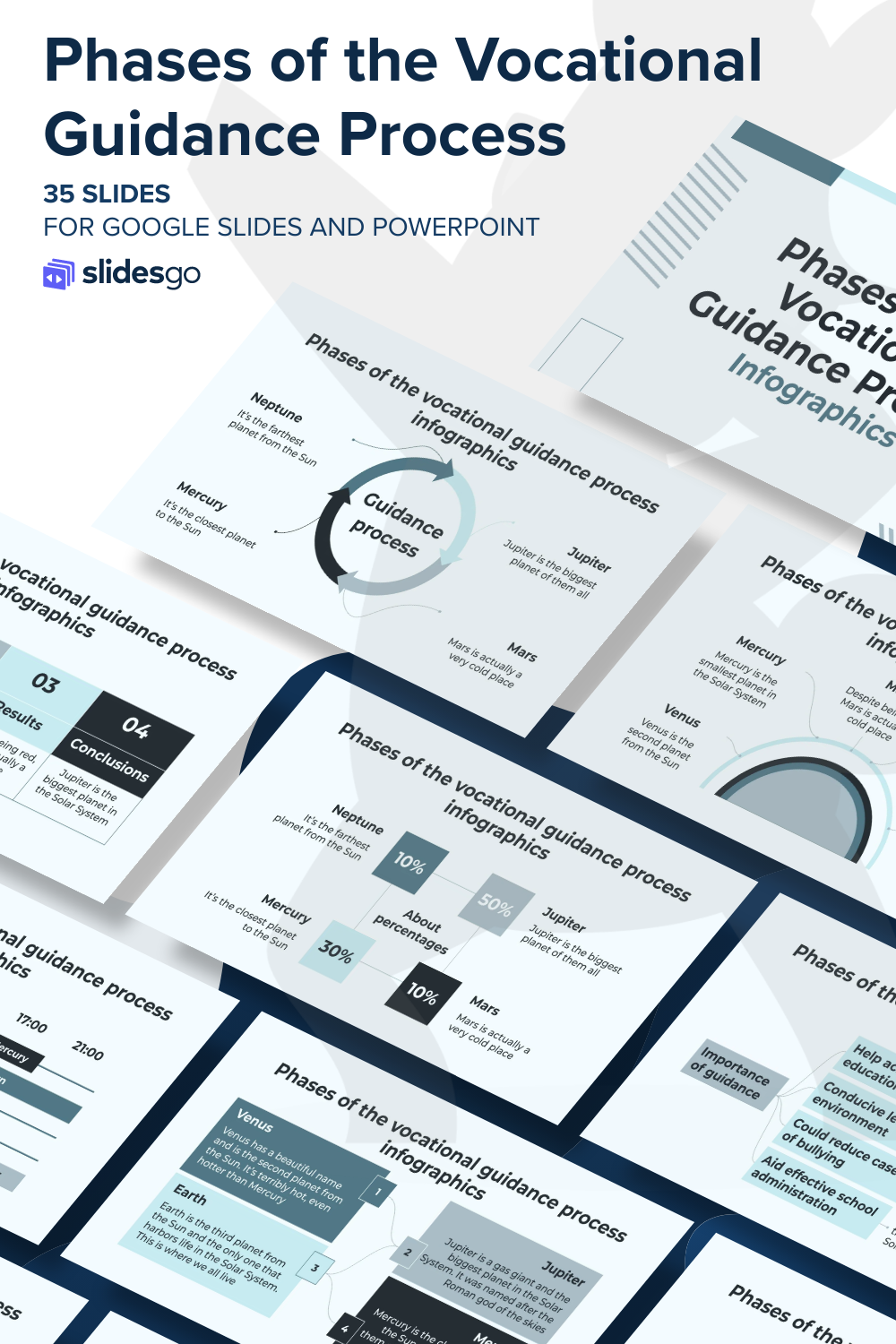 Phases of the Vocational Guidance Process Infographics
