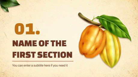 Cocoa Plant | Google Slides & PowerPoint