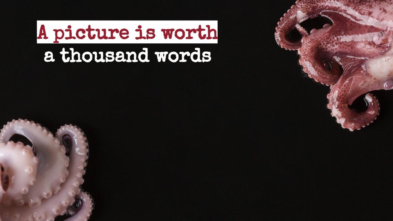 All About Octopus Workshop | Google Slides & PowerPoint