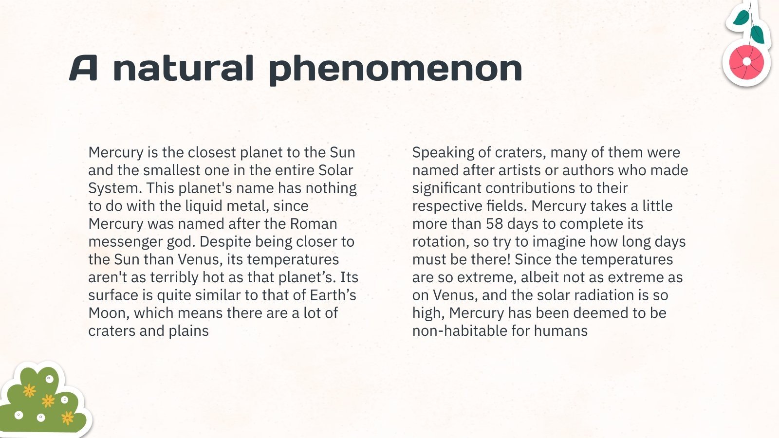 Seasons of the Year | Google Slides & PowerPoint