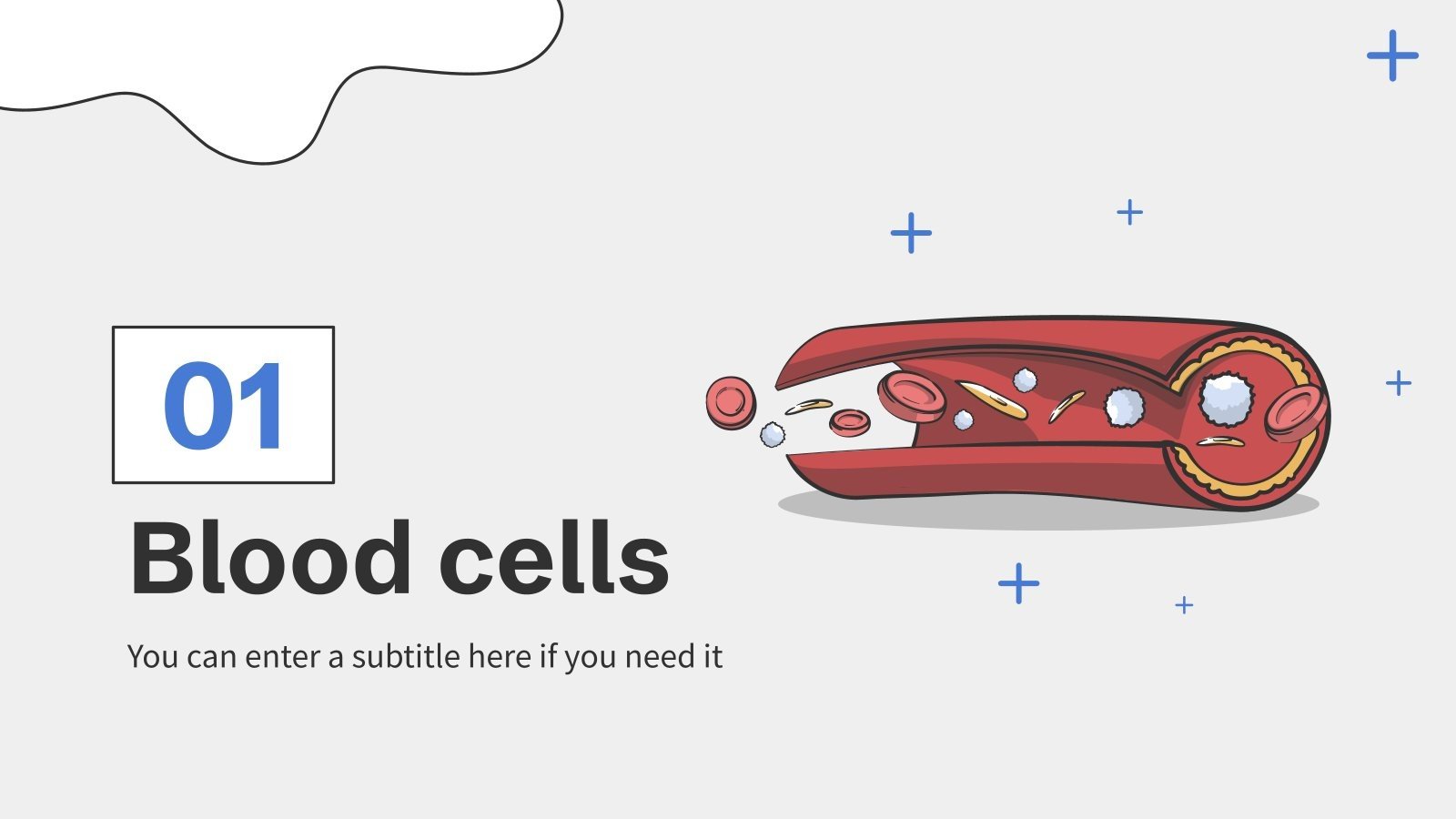 Science Subject for High School: White Blood Cells