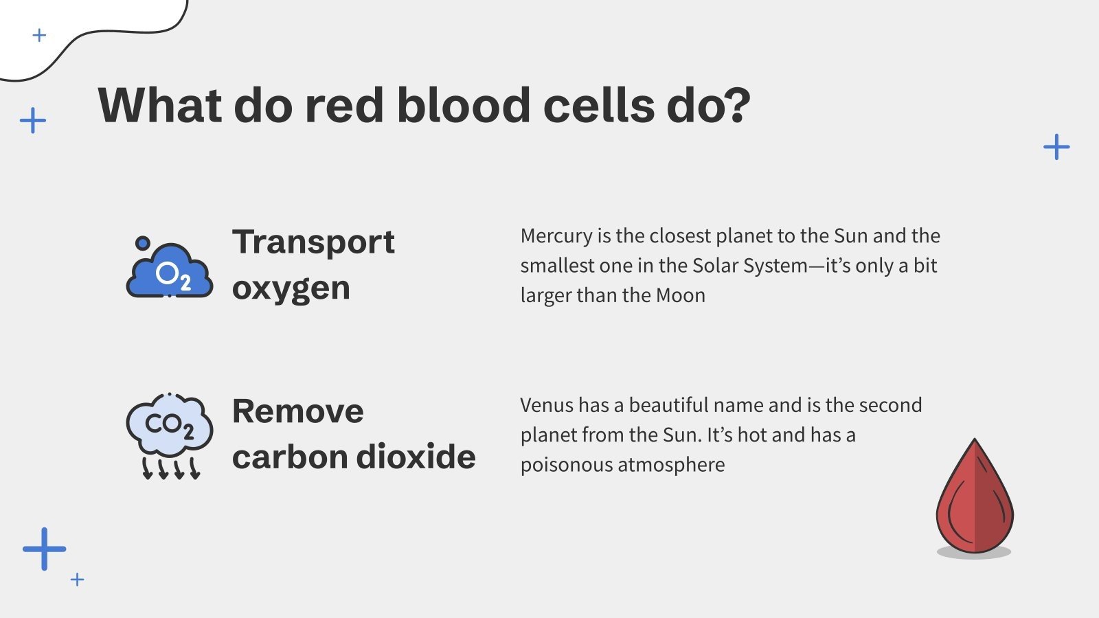 Science Subject for High School: White Blood Cells