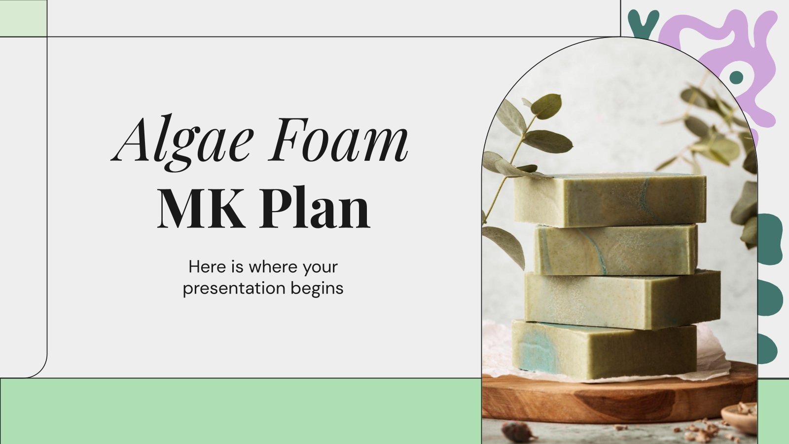 Algae Foam MK Plan | Google Slides & PowerPoint