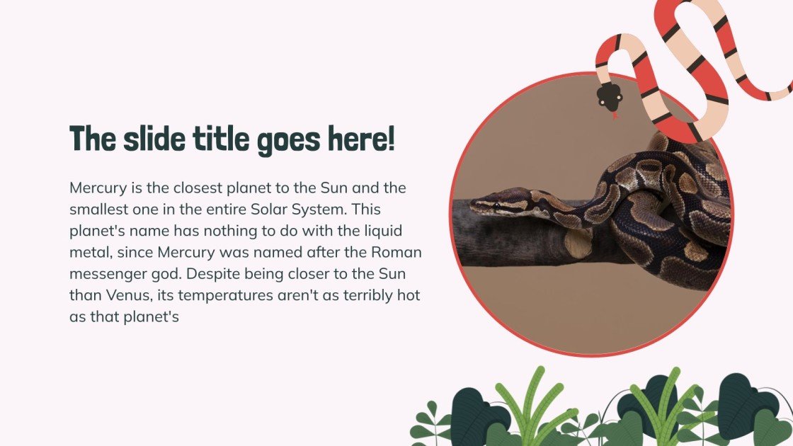 Activities to Celebrate World Snake Day in Elementary