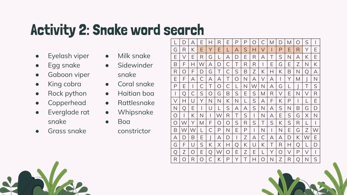 Activities to Celebrate World Snake Day in Elementary