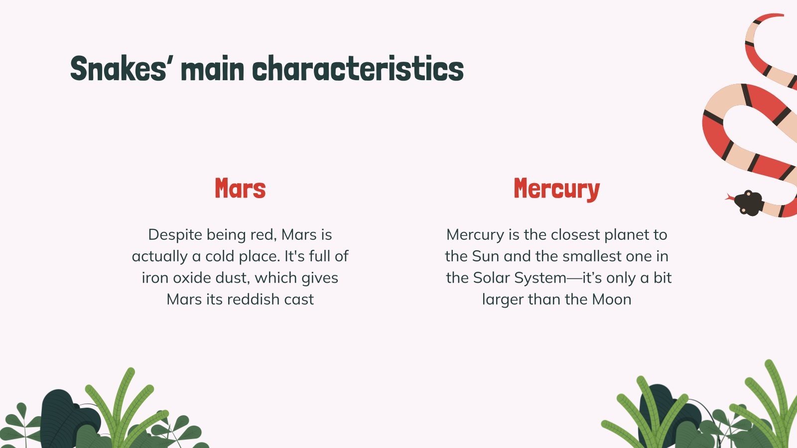 Activities to Celebrate World Snake Day in Elementary