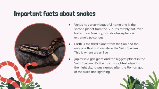 Actividades para el Día Mundial de la Serpiente en Primaria