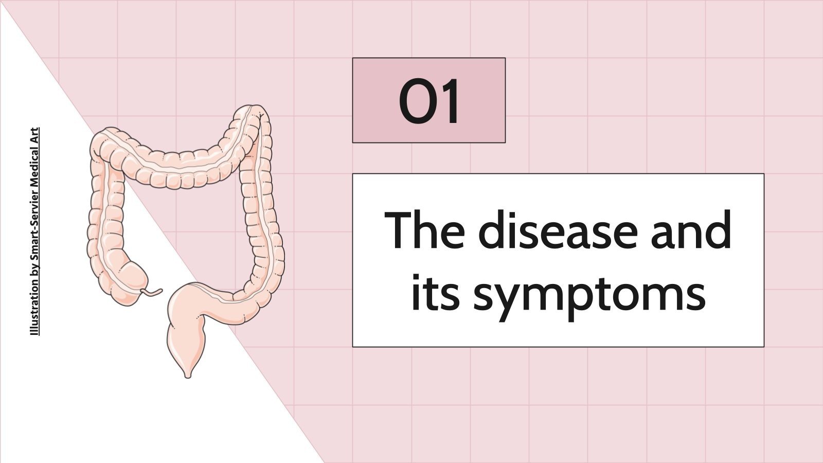 Large Intestine Diseases | Google Slides & PPT