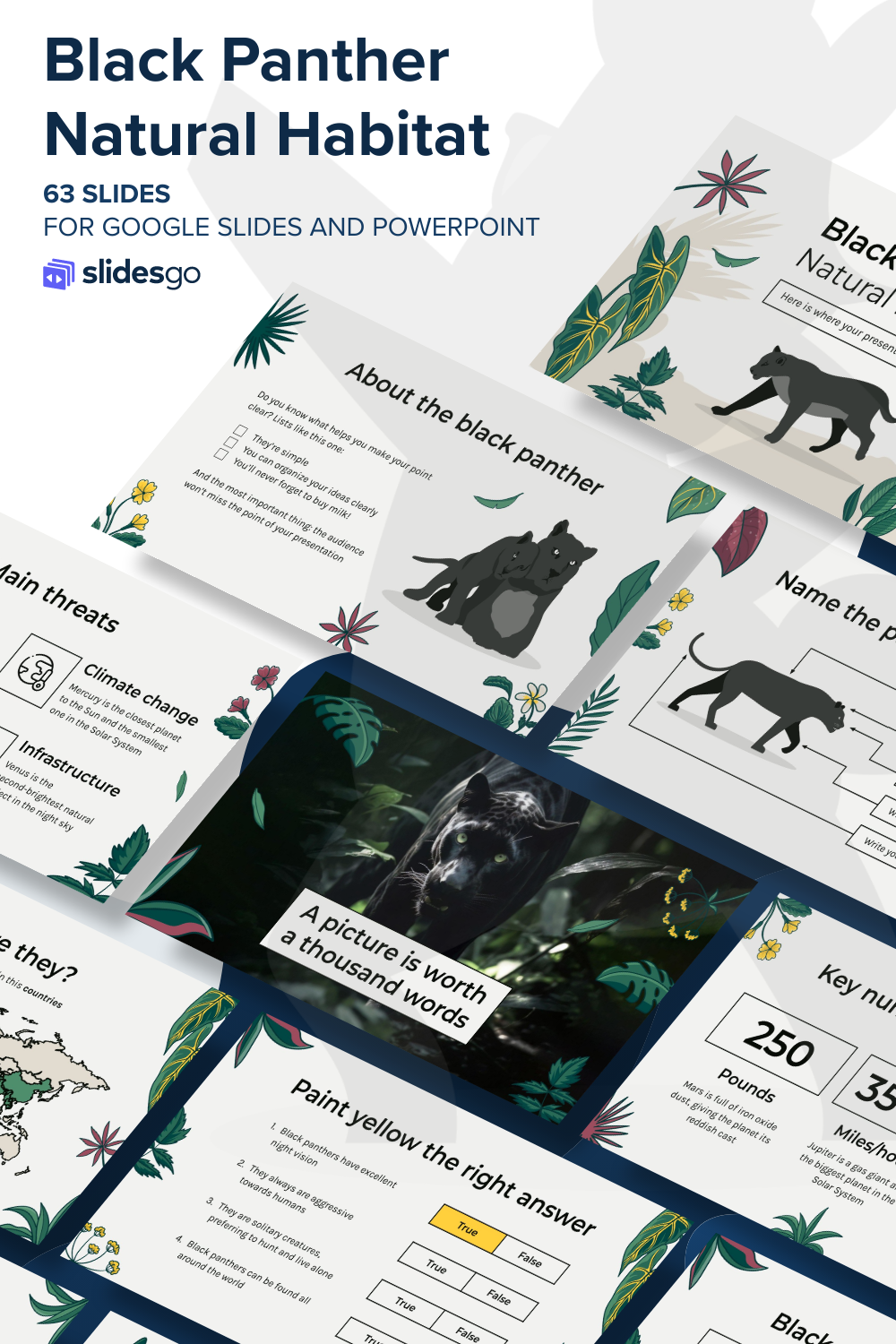 Black Panther Natural Habitat | Google Slides & PPT