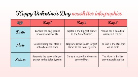 Happy Valentine's Day Newsletter Infographics