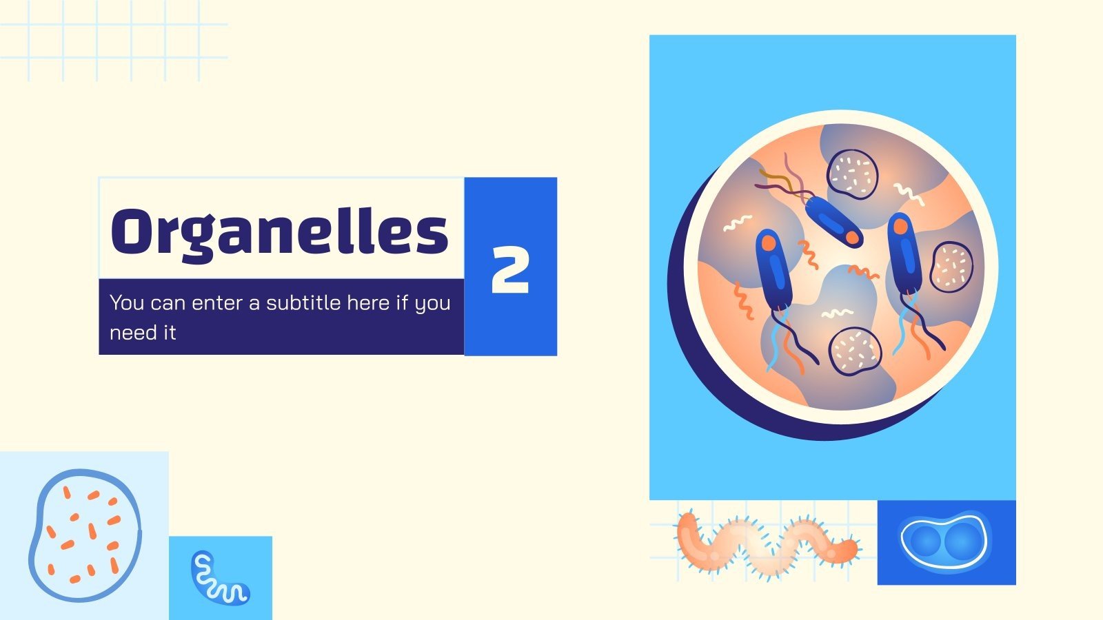 Science Subject for High School: Cellular Organelles