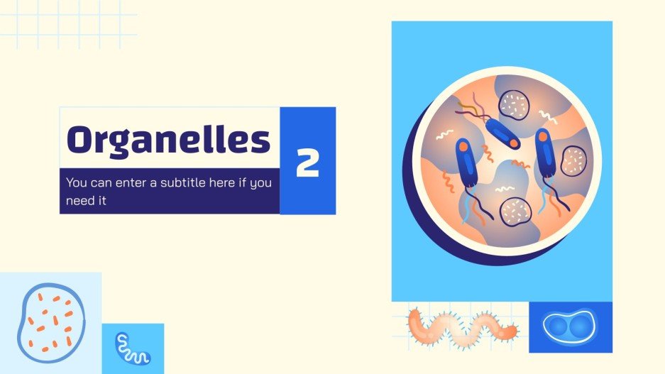 Science Subject for High School: Cellular Organelles
