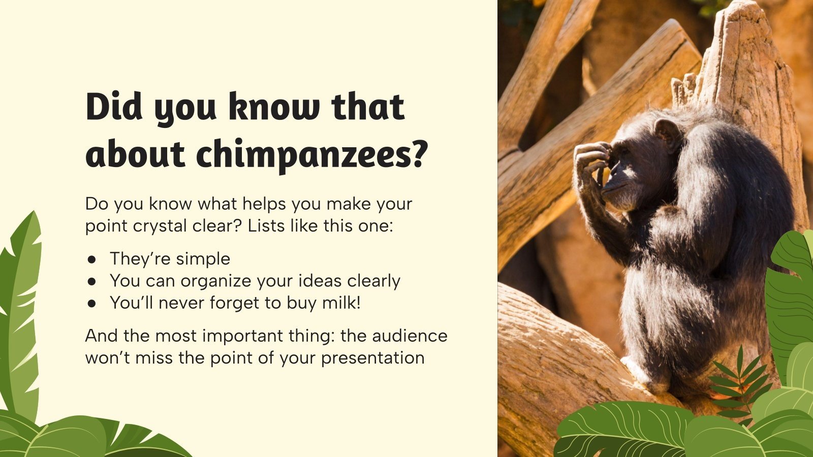 Chimpanzee Habitat Conservation | Google Slides & PowerPoint