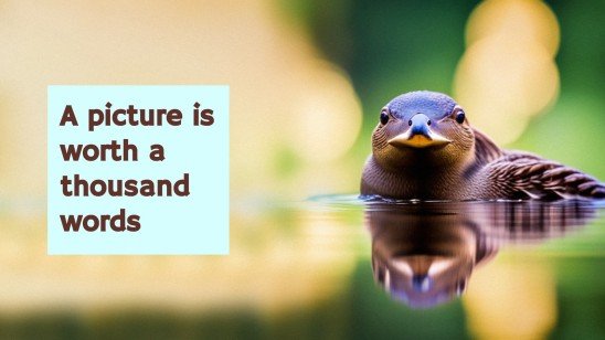 Platypus Minitheme | Google Slides & PowerPoint