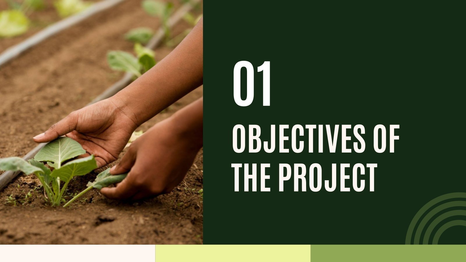 Ecological Planting Project Proposal | Google Slides & PPT