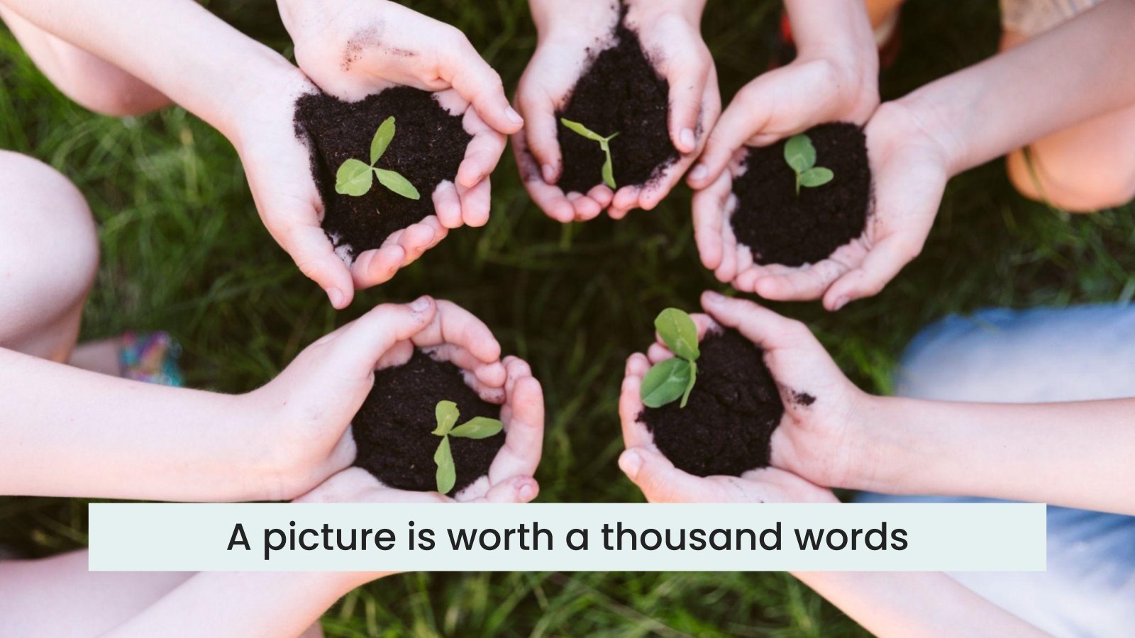 Sustainable Development Goals (SDGs)