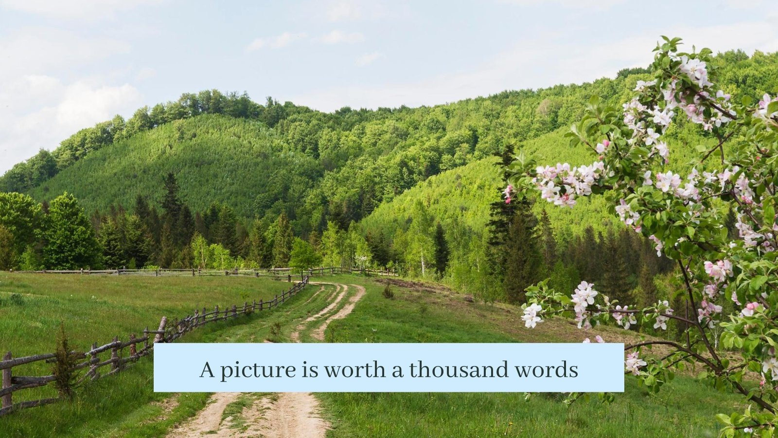 Green Meadow Theme | Google Slides & PowerPoint