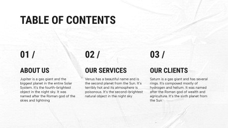 Anti-Branding Style - Professional Basic Template