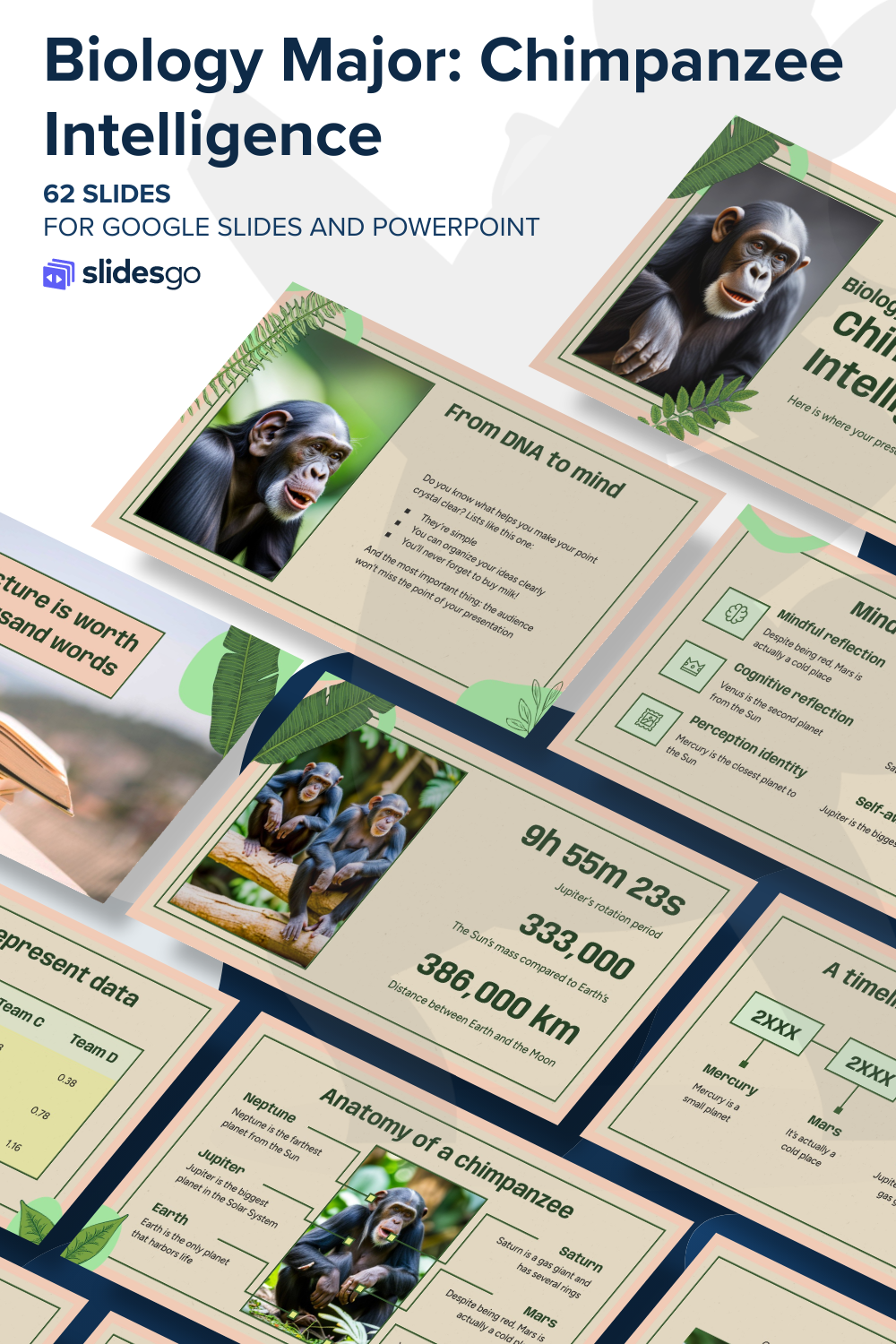 Biology Major for College: Chimpanzee Intelligence