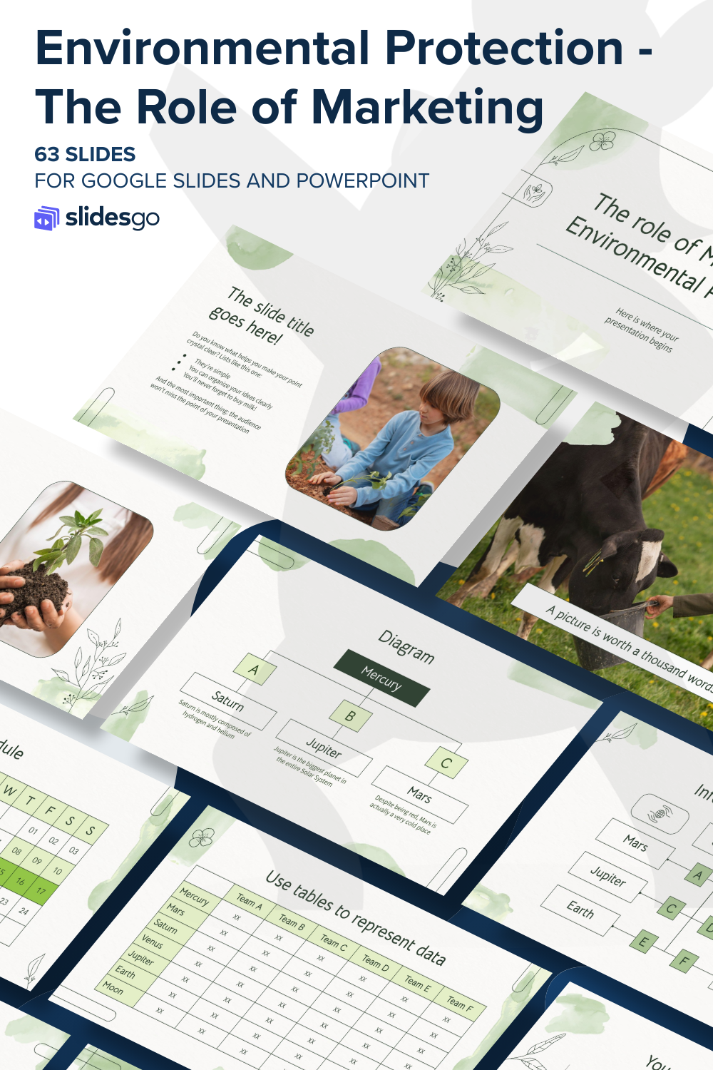 The Role of Marketing in Environmental Protection