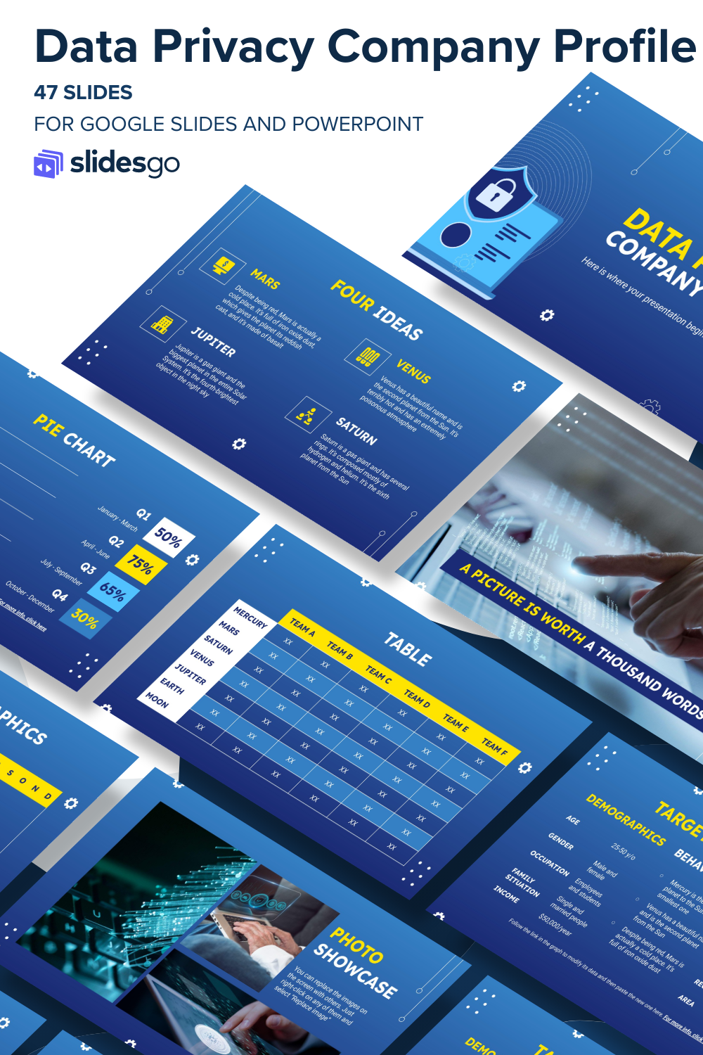 Data Privacy Company Profile | Google Slides & PowerPoint