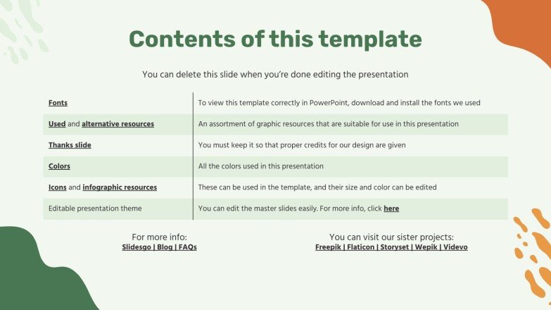 Northern Brazil Tourism Marketing Plan | Google Slides & PPT