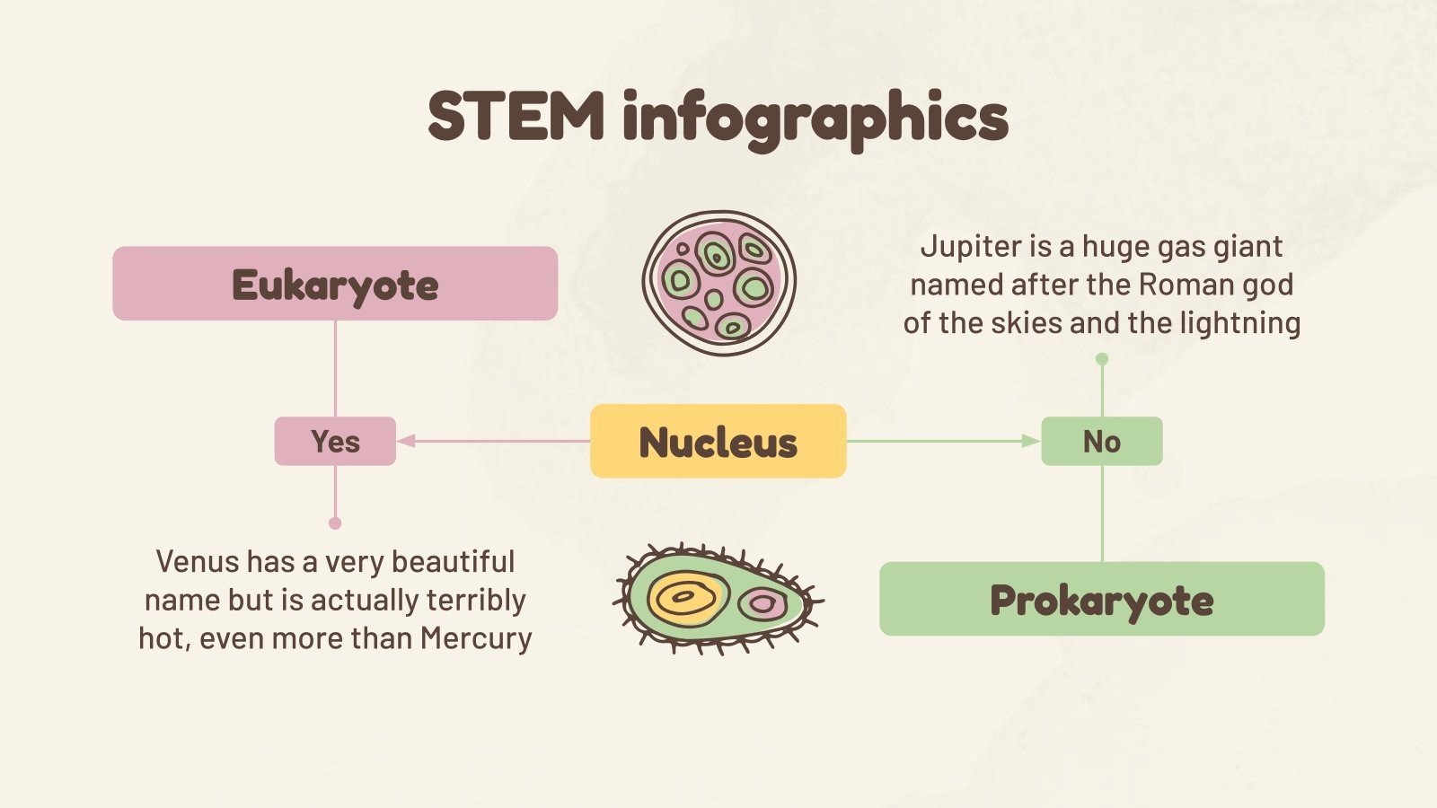 Kimok Science Doodles Style Infographics - Daily Learning