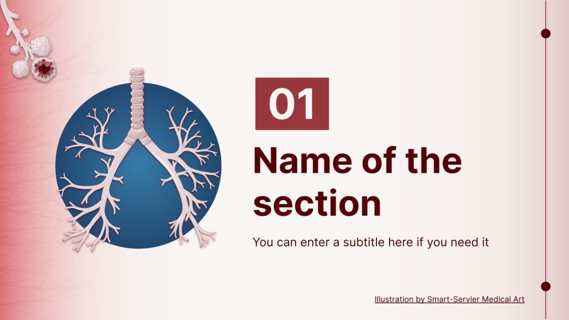 Learn more about Lungs - Anatomy | Google Slides & PPT
