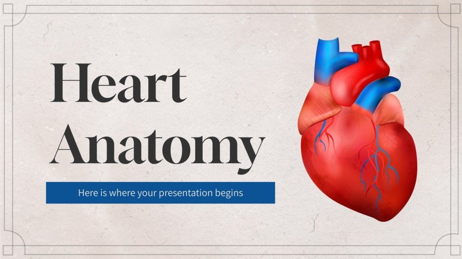 Heart Anatomy | Google Slides & PowerPoint template