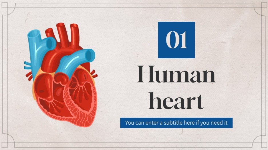 Heart Anatomy | Google Slides & PowerPoint template