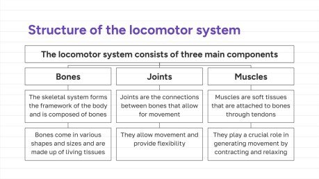 Locomotor System Lesson for Elementary | Google Slides