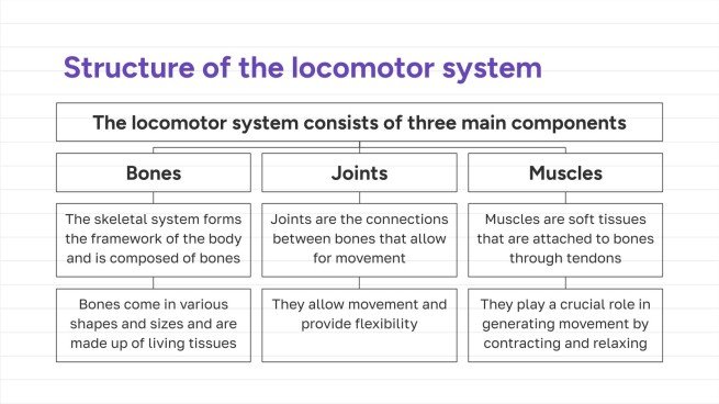 Locomotor System Lesson for Elementary | Google Slides