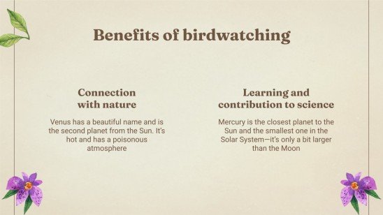 Birdwatching Lesson | Google Slides and PowerPoint