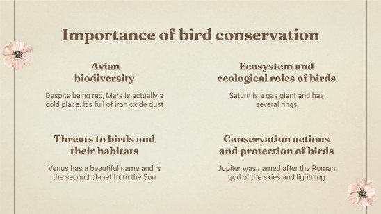 Birdwatching Lesson | Google Slides and PowerPoint