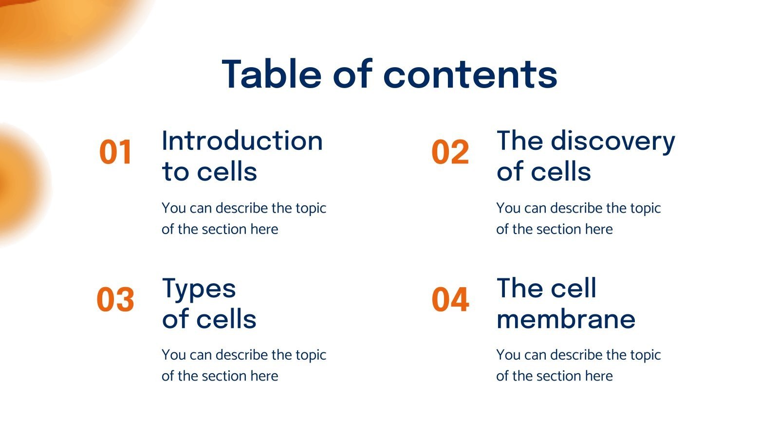 Cell Structure And Function Science 9th Grade