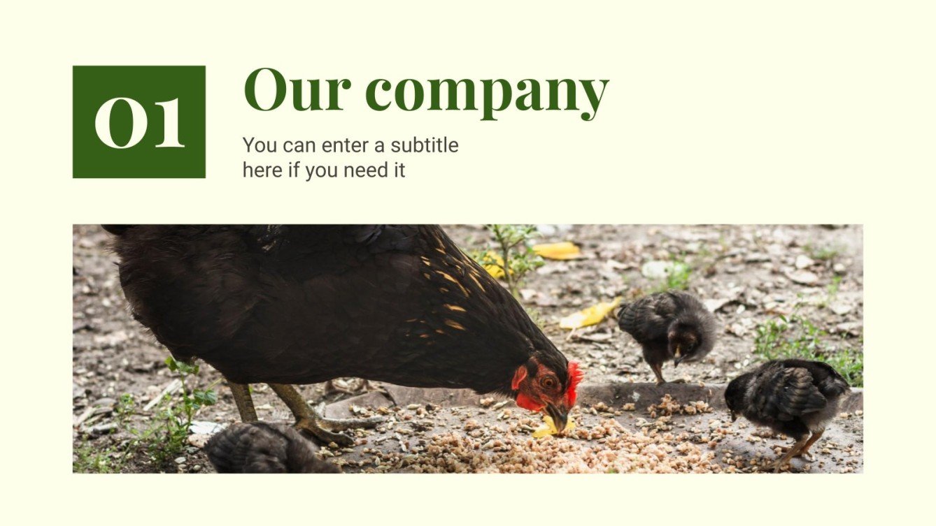 Poultry Farm Company | Google Slides and PowerPoint