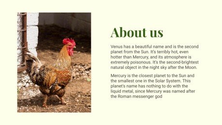 Poultry Farm Company | Google Slides and PowerPoint