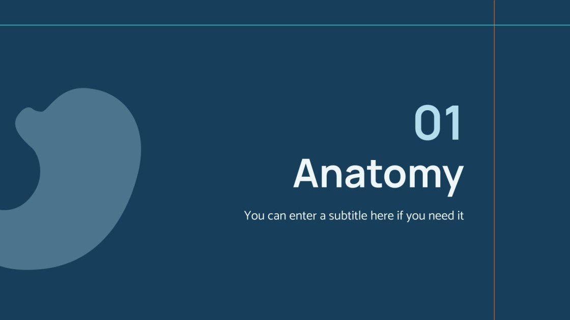 Anatomy and Physiology | Google Slides & PPT